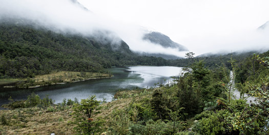 Pursuit: Antarctica & Chilean Fjords