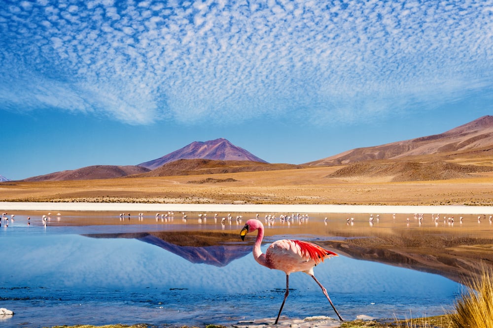 Best Things To Do in South and Central America in AUGUST Guide | Chimu ...