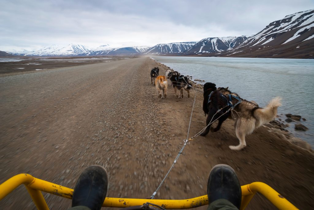 The Best Time to Visit Svalbard | Chimu Adventures