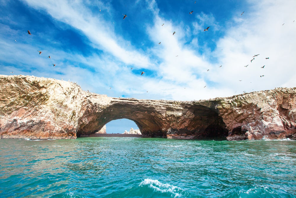 Things to do in the Ballestas Islands of Peru | Chimu Adventures